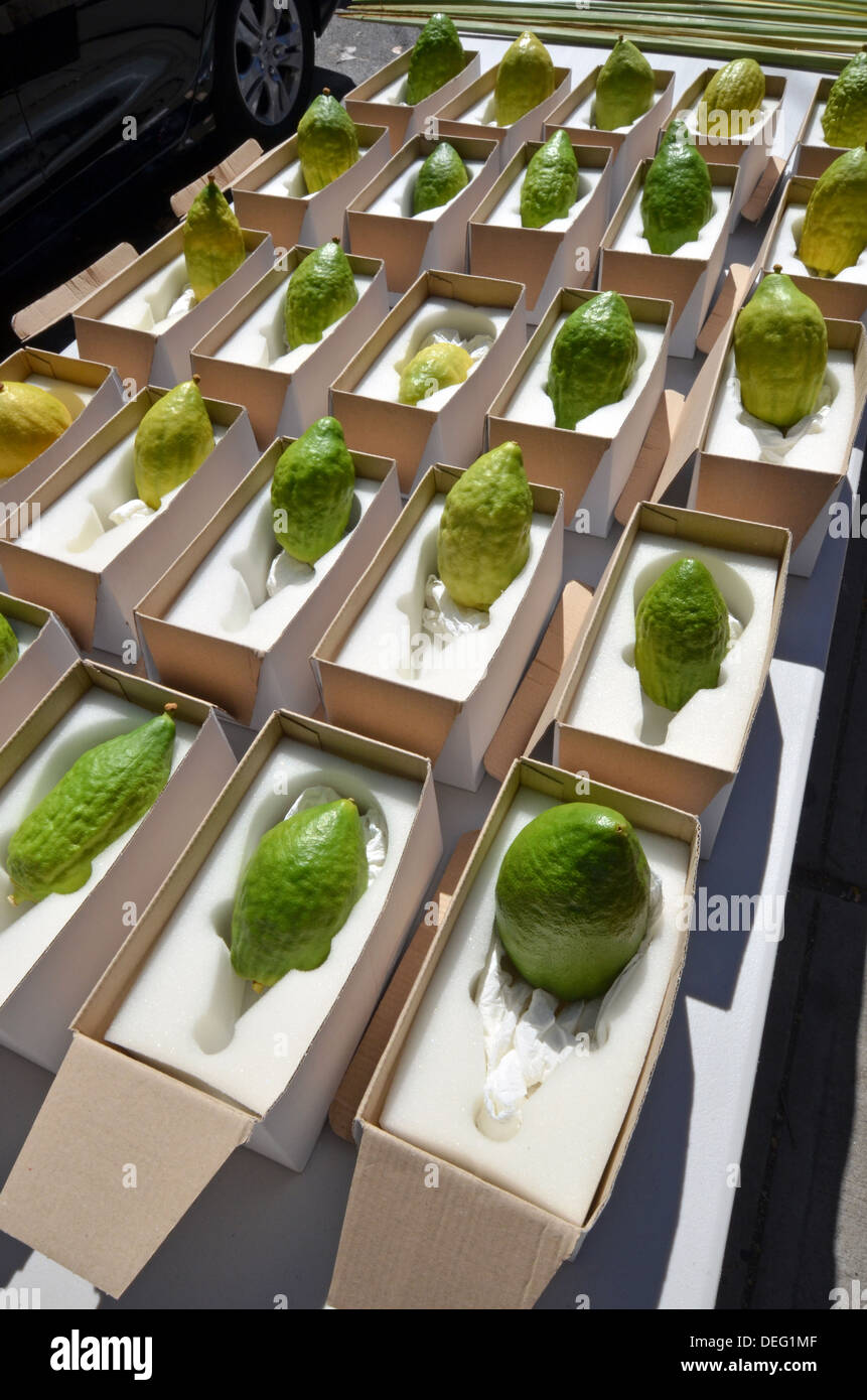 Succos hi-res stock photography and images - Alamy