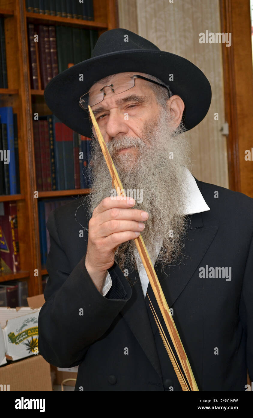 An orthodox Jewish rabbi inspecting the top of a lulav to be used ...