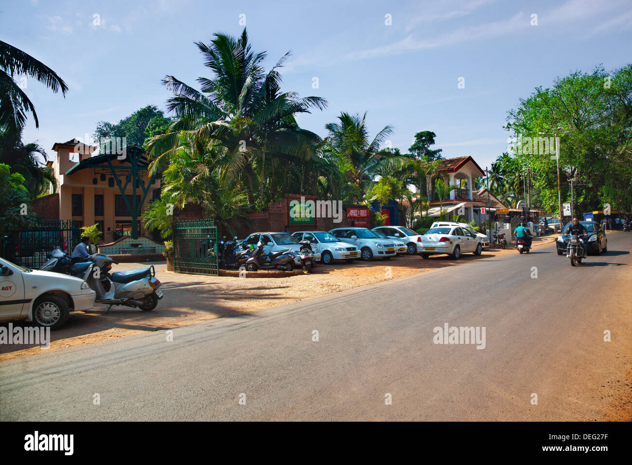 Motor vehicle tree hi-res stock photography and images - Alamy