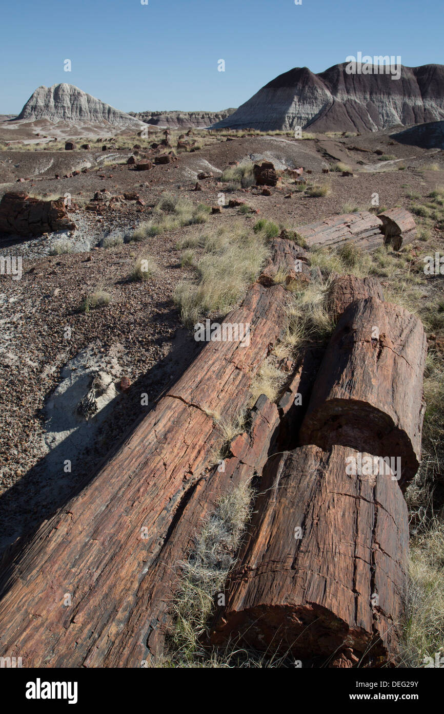 Triassic landscape hi-res stock photography and images - Alamy