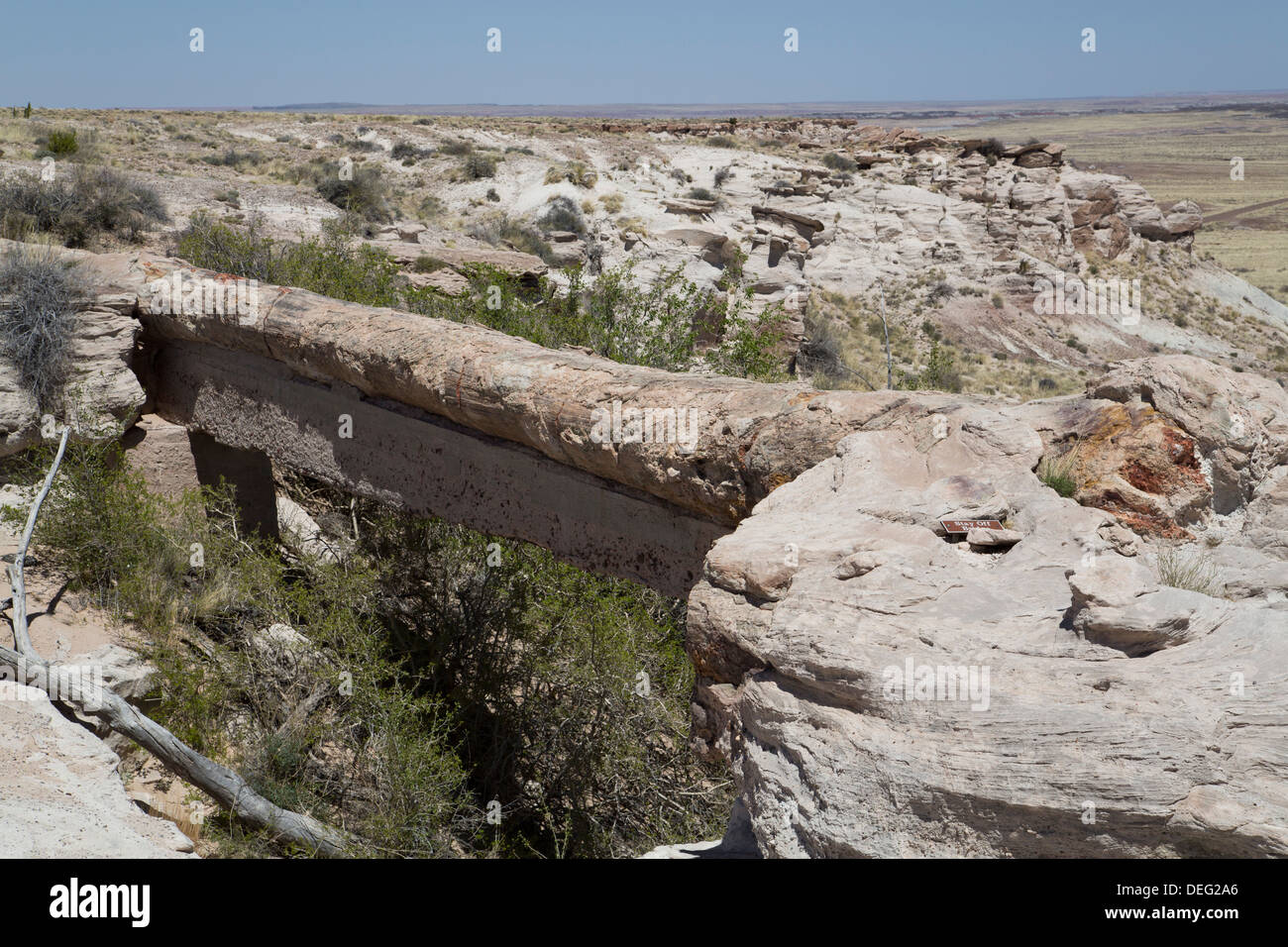 Agate Bridge, a petrified log spanning ravine, Petrified Forest ...