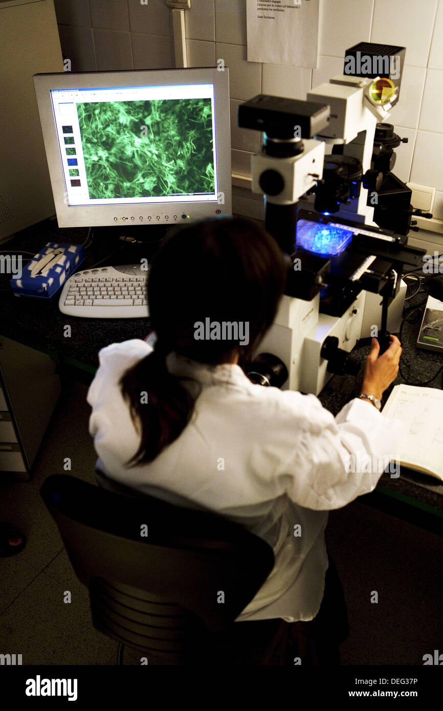 Biomedical Research Microscope High Resolution Stock Photography and ...