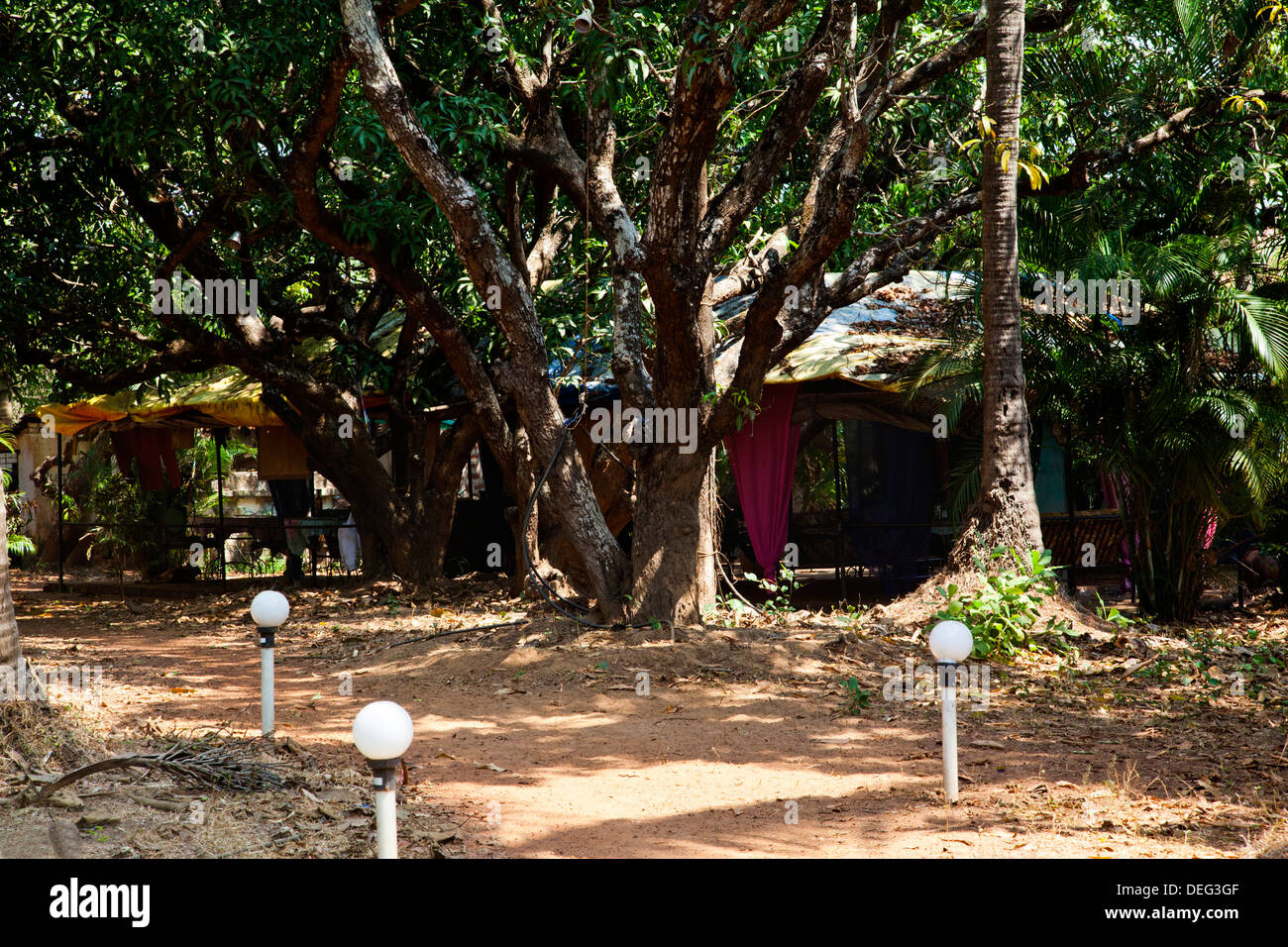 Restaurant tree hi-res stock photography and images - Alamy