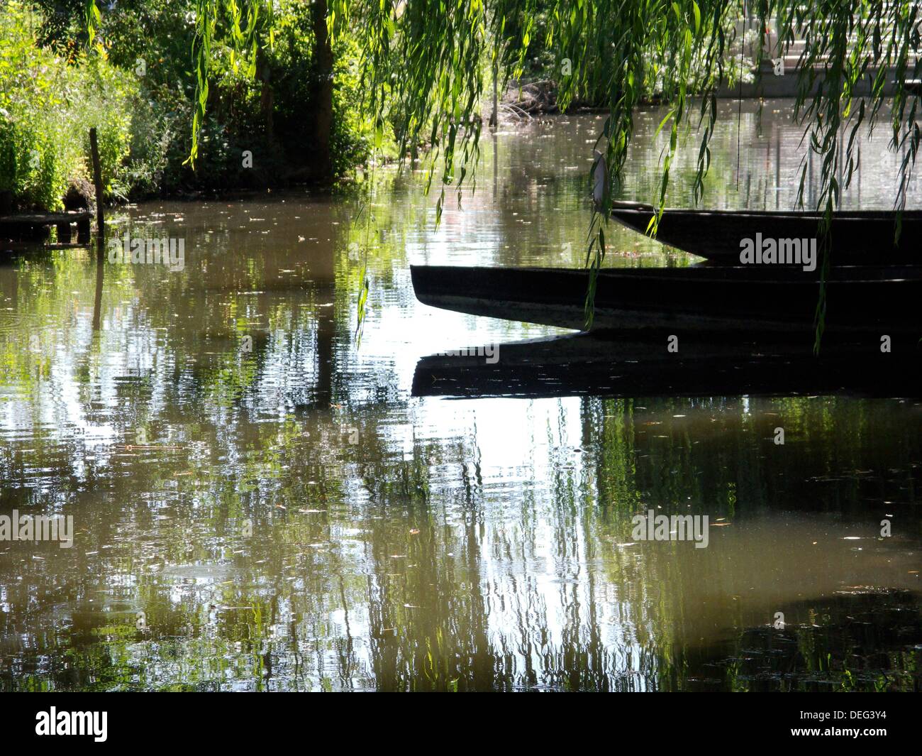 Le marais poitevin hi-res stock photography and images - Alamy