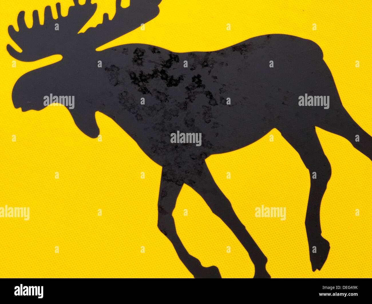 Caribou Warning Sign High Resolution Stock Photography and Images - Alamy