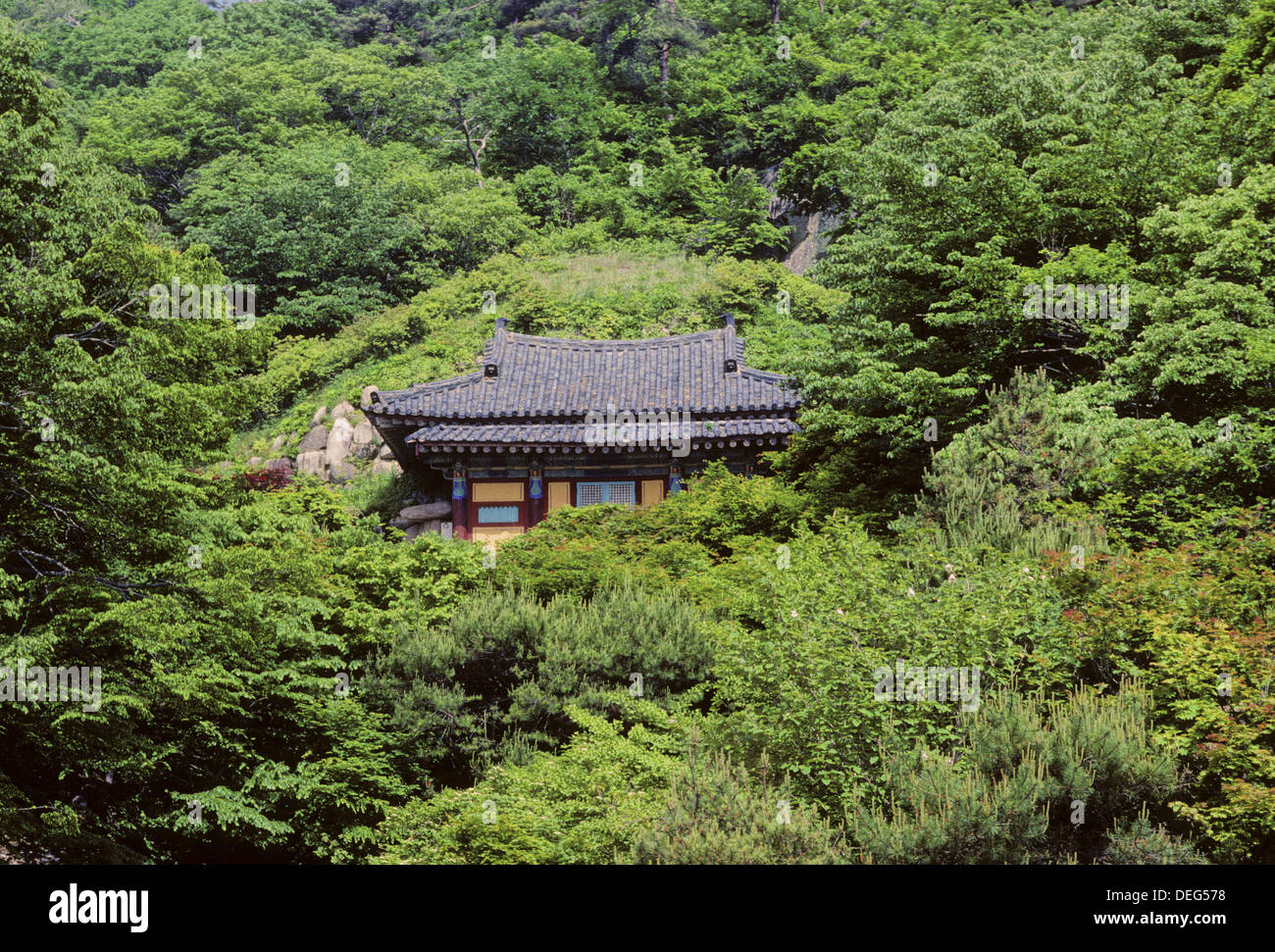 Travel kyongju south korea hi-res stock photography and images - Alamy