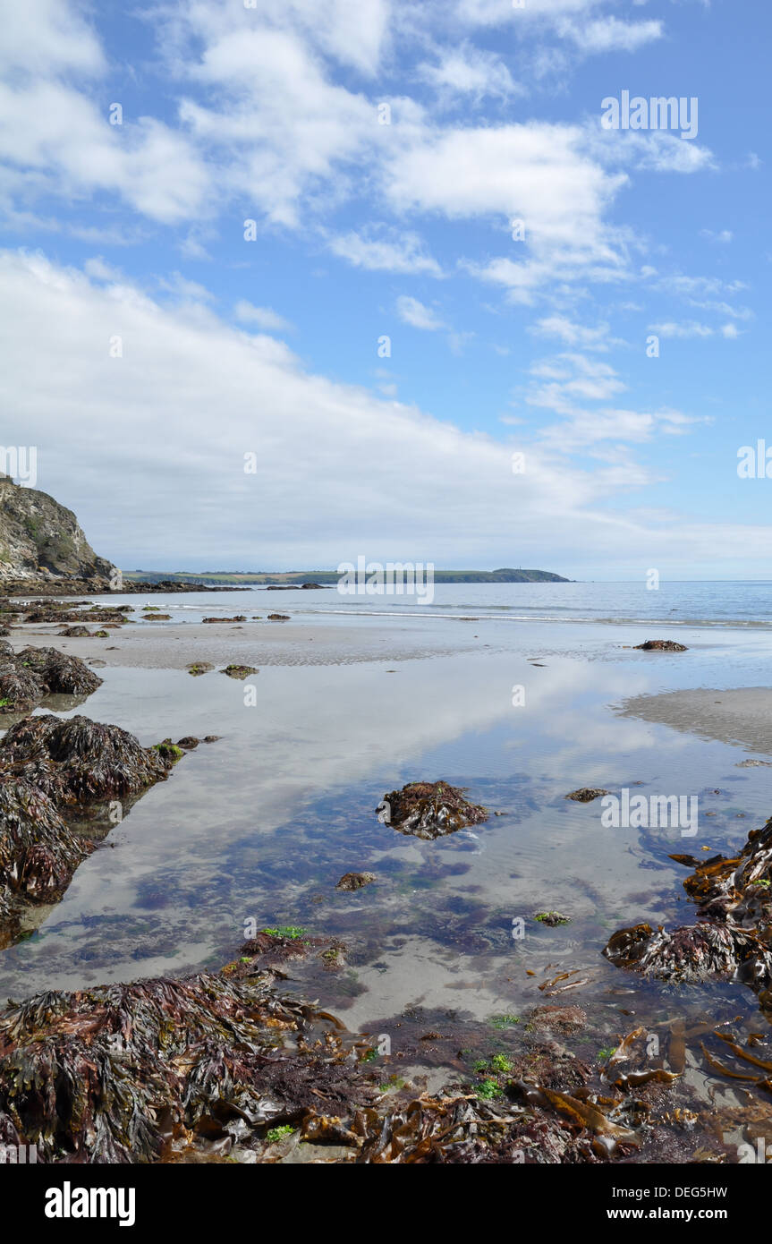 Rock pool cornwall hi-res stock photography and images - Alamy