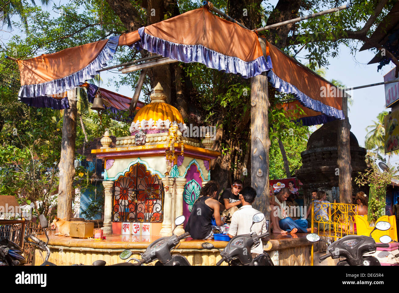 Small temple under a tree, Goa, India Stock Photo - Alamy