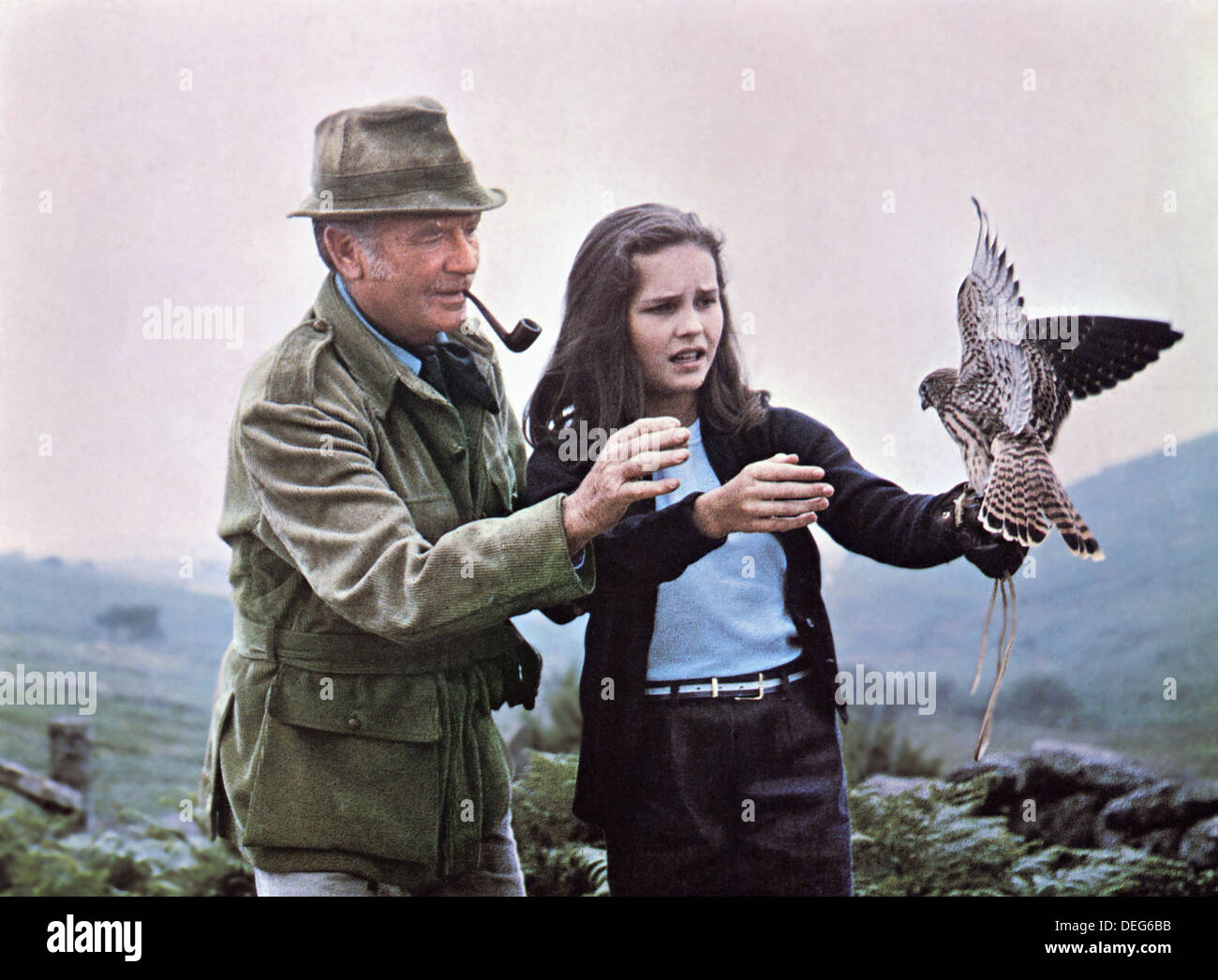 RUN WILD, RUN FREE (1969) JOHN MILLS, FIONA FULLERTON, RICHARD C ...