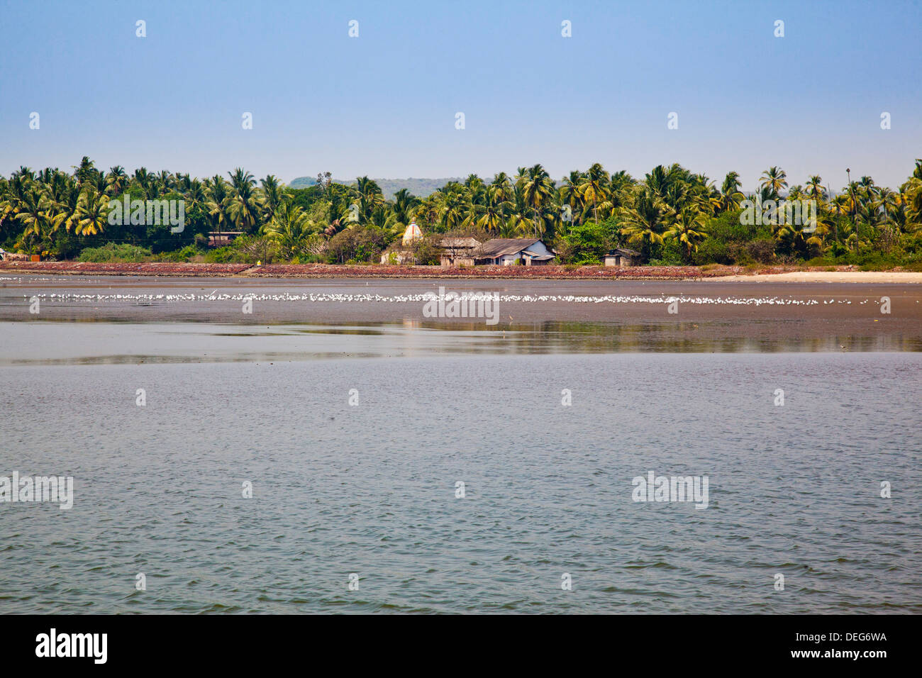 Goa siolim river hi-res stock photography and images - Alamy