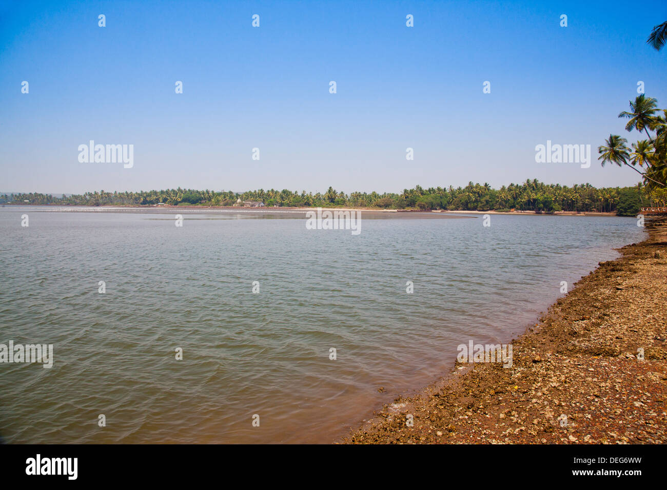 Goa siolim river hi-res stock photography and images - Alamy