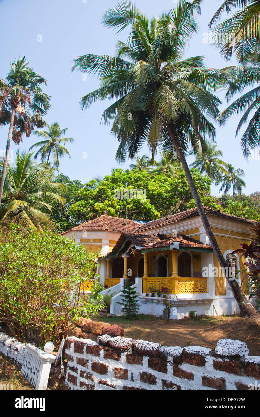 Trees around a house, Siolim, North Goa, Goa, India Stock Photo - Alamy