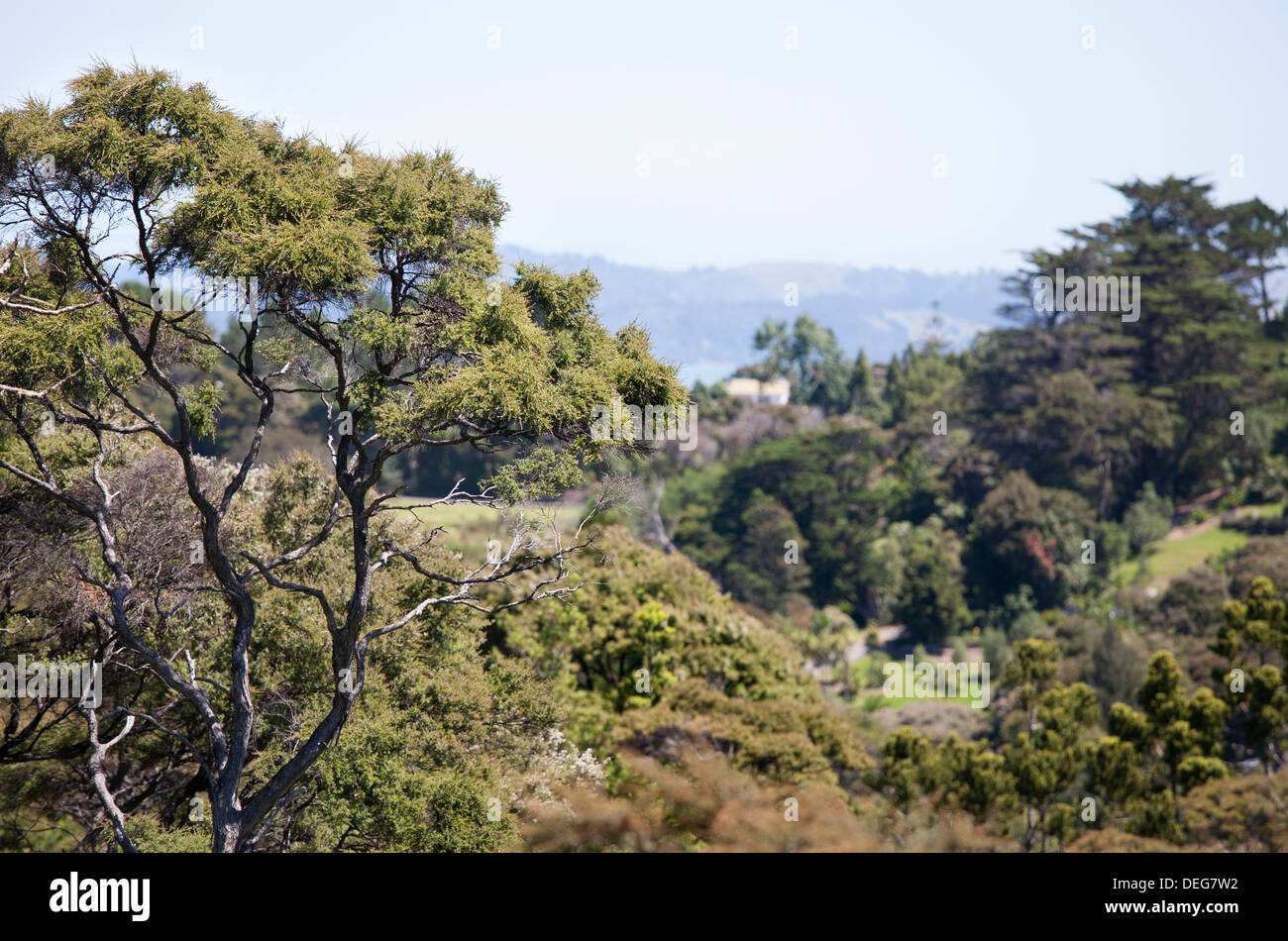 Nz north island landscape hi-res stock photography and images - Alamy