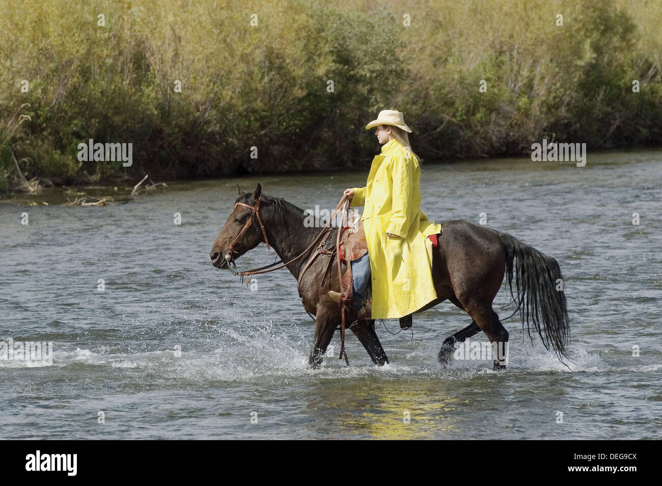 Horse rider crossing water hi-res stock photography and images - Alamy
