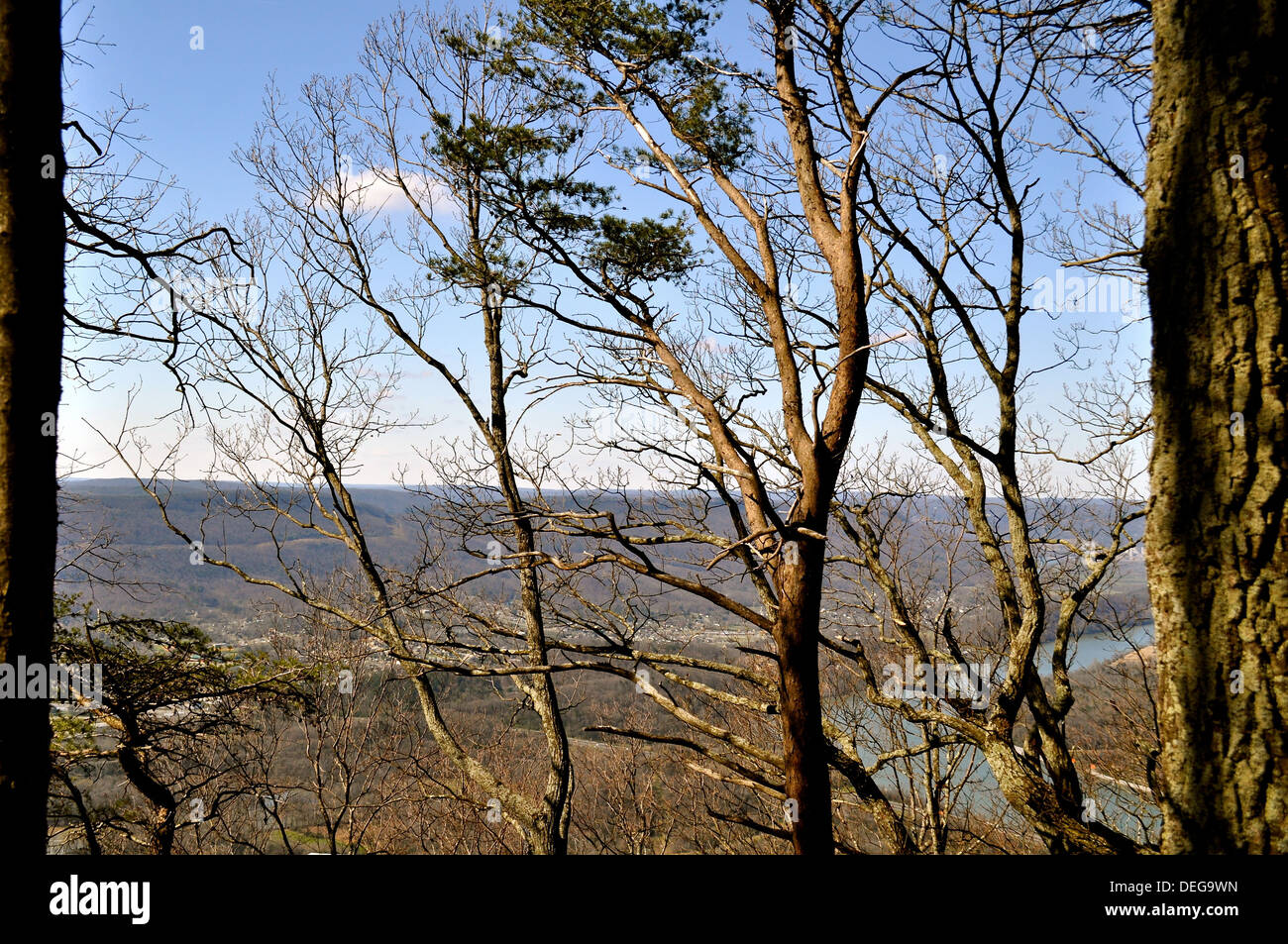 Horizon as seen through the trees at Point Park Stock Photo - Alamy