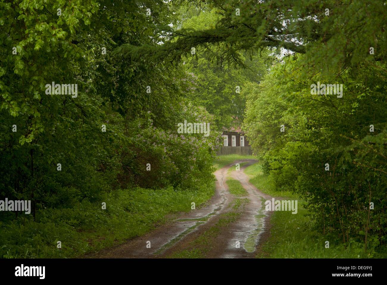 Road to home hi-res stock photography and images - Alamy