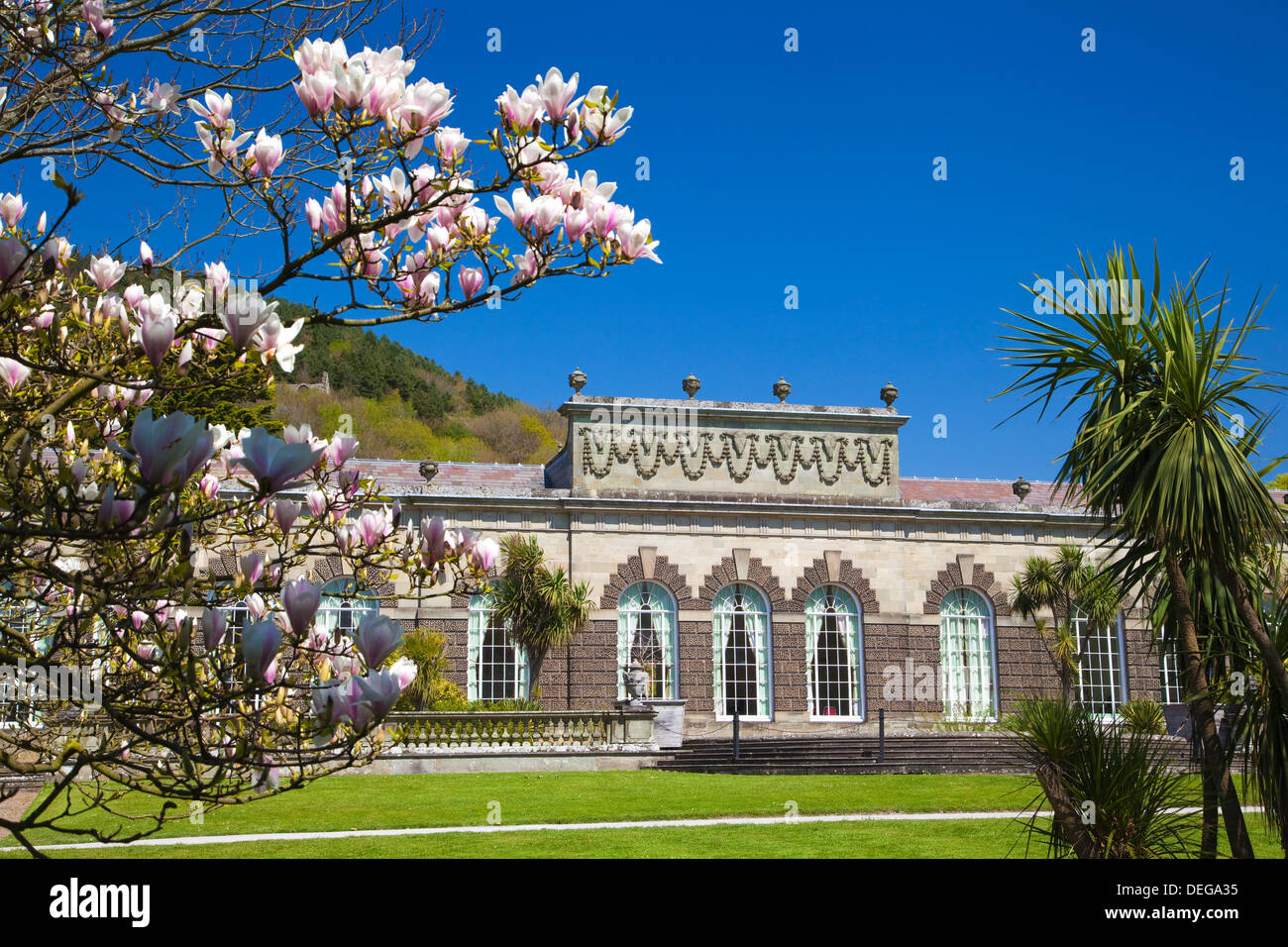 Margam Park, Port Talbot, Wales, United Kingdom, Europe Stock Photo - Alamy