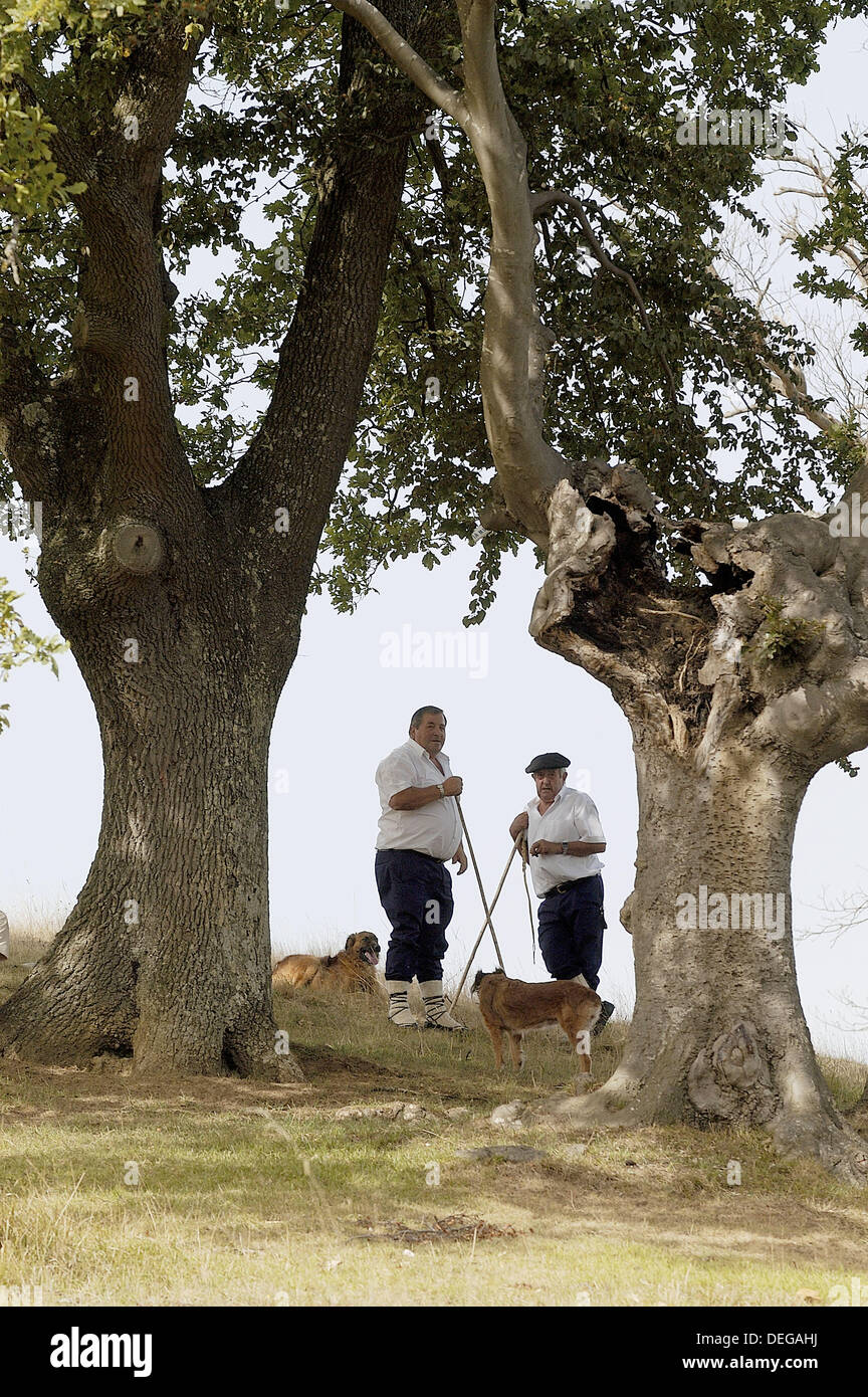 Basque Shepherds High Resolution Stock Photography and Images - Alamy