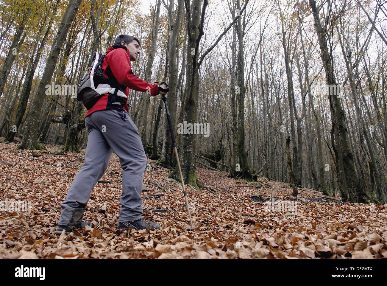 Basque walking stick hi-res stock photography and images - Alamy