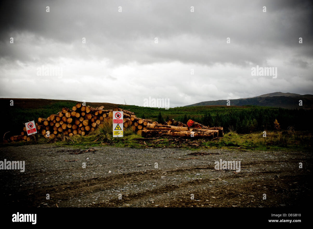 Trees chopped down hi-res stock photography and images - Alamy