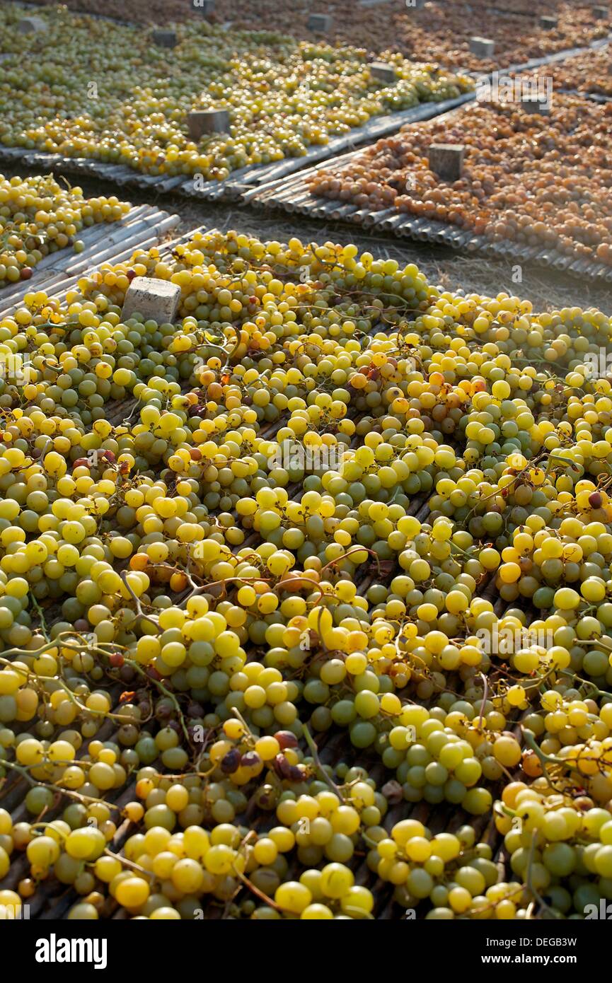 Drying cage hi-res stock photography and images - Alamy