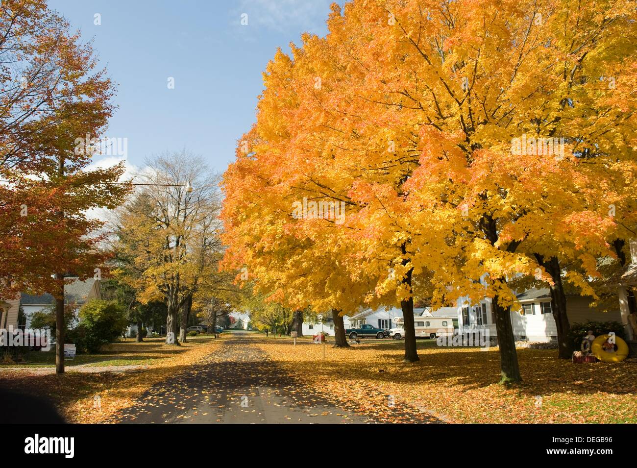 Fall Autumn colors line an old residential street in Lexington Michigan ...