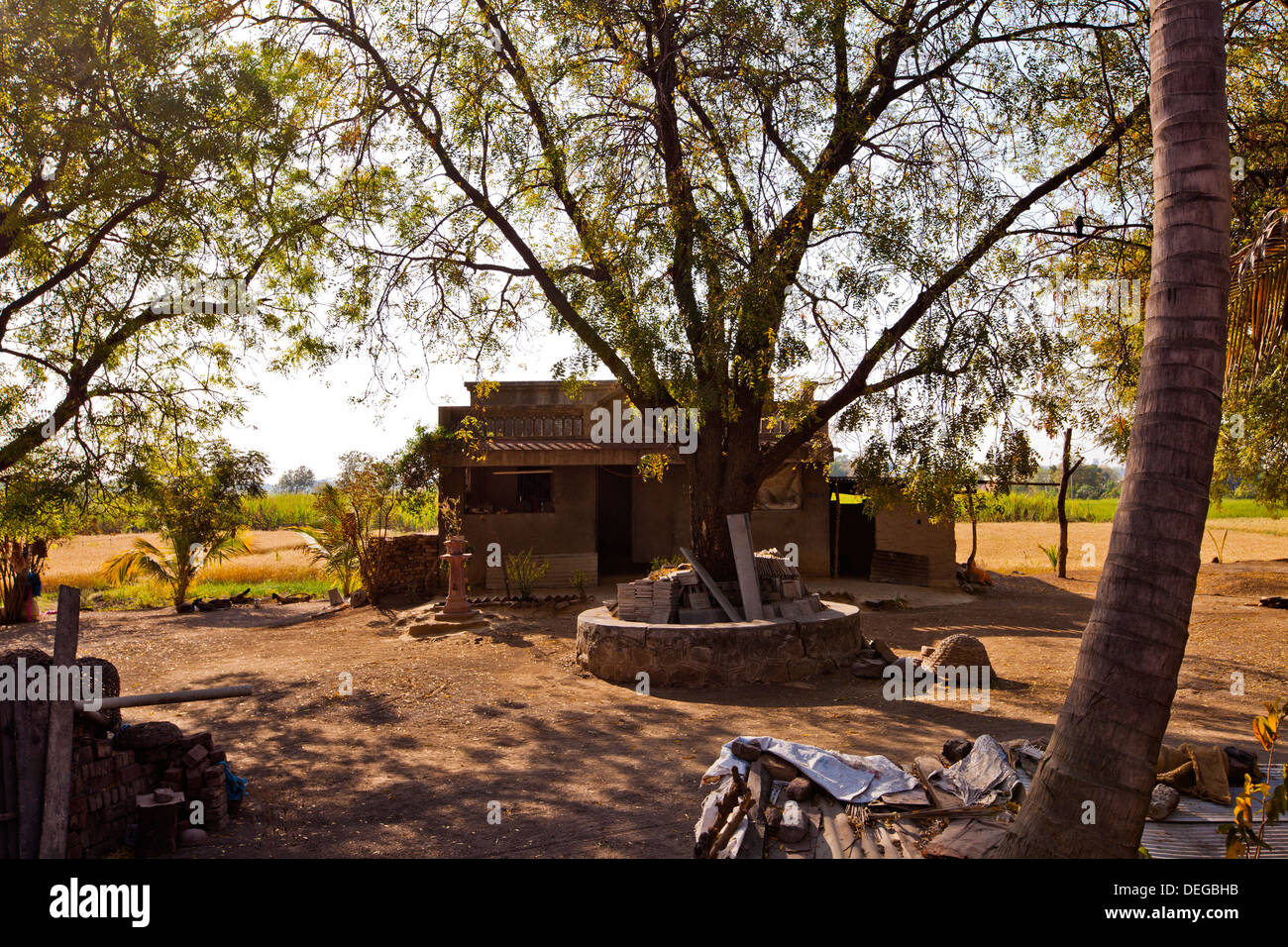 Tree in front of a house, Shani Shingnapur, Ahmednagar, Maharashtra ...