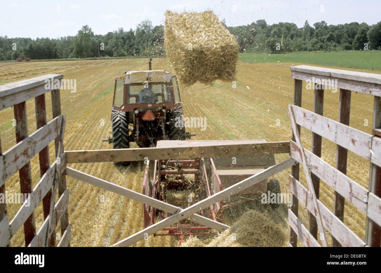 Bale tossing hi-res stock photography and images - Alamy