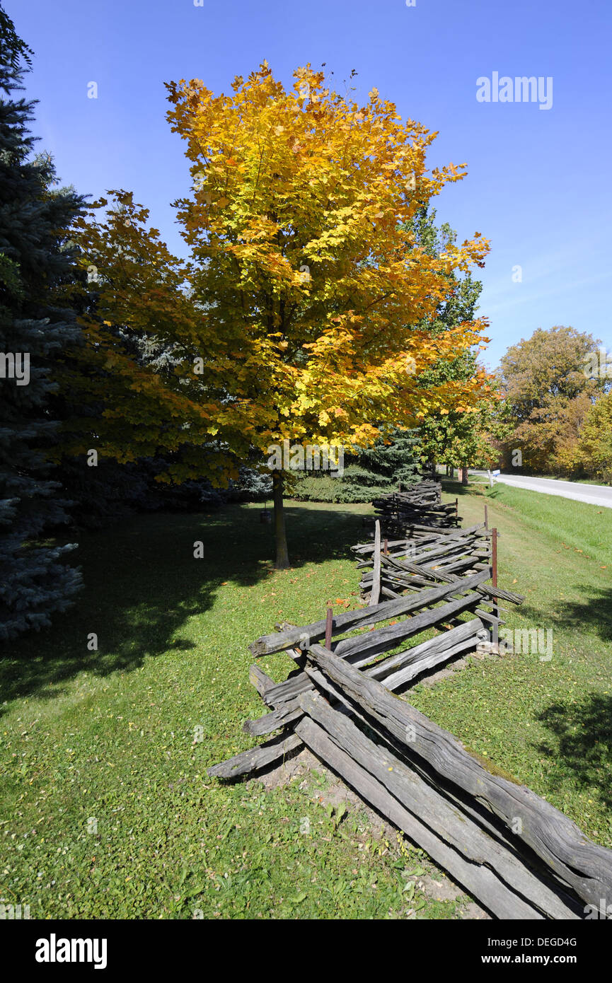Indiana Autumn Fall Colors Near Muncie Stock Photo Alamy indiana-autumn-fall-colors-near-muncie-stock-photo-alamy