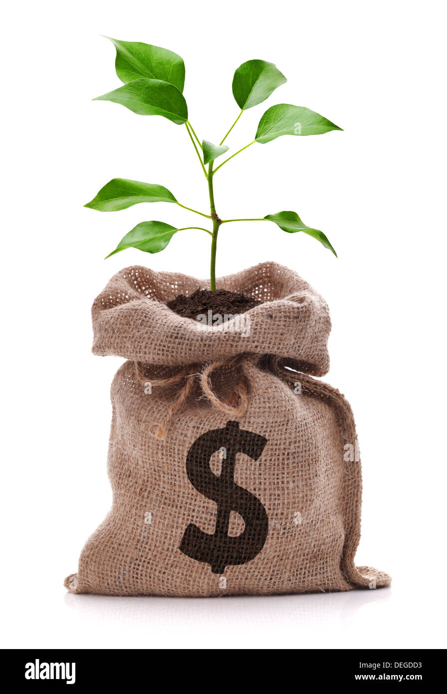 Money investment growth finance Cut Out Stock Images & Pictures - Alamy