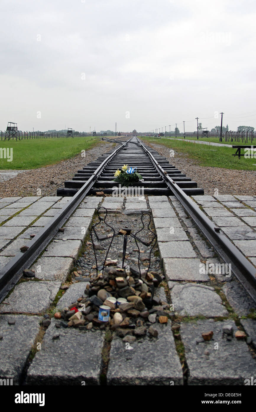 Auschwitz Train Tracks Remembering The Holocaust