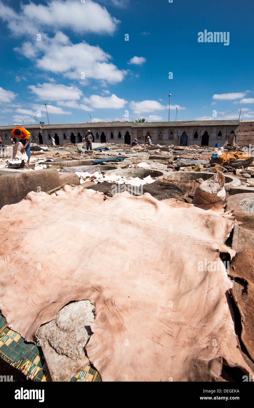Marrakech tannery hi-res stock photography and images - Alamy