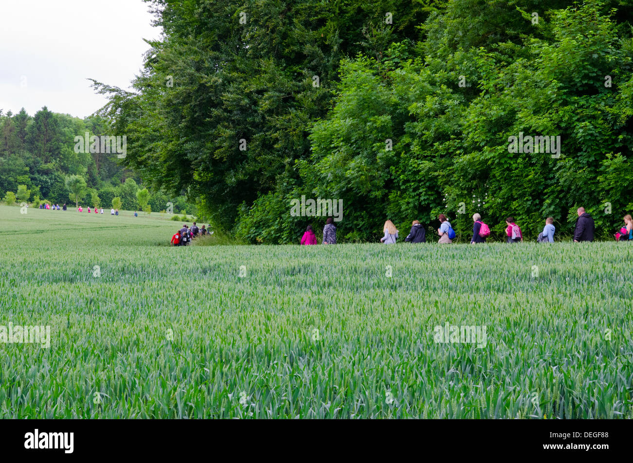 Walking around Green Field Stock Photo - Alamy