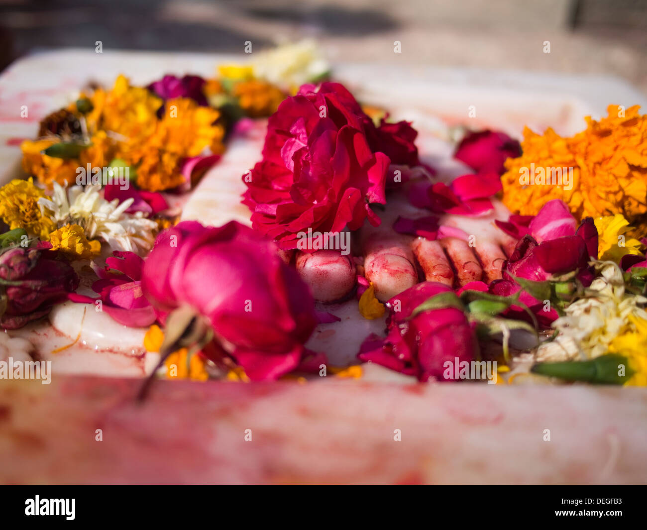 Offering flowers india hi-res stock photography and images - Alamy