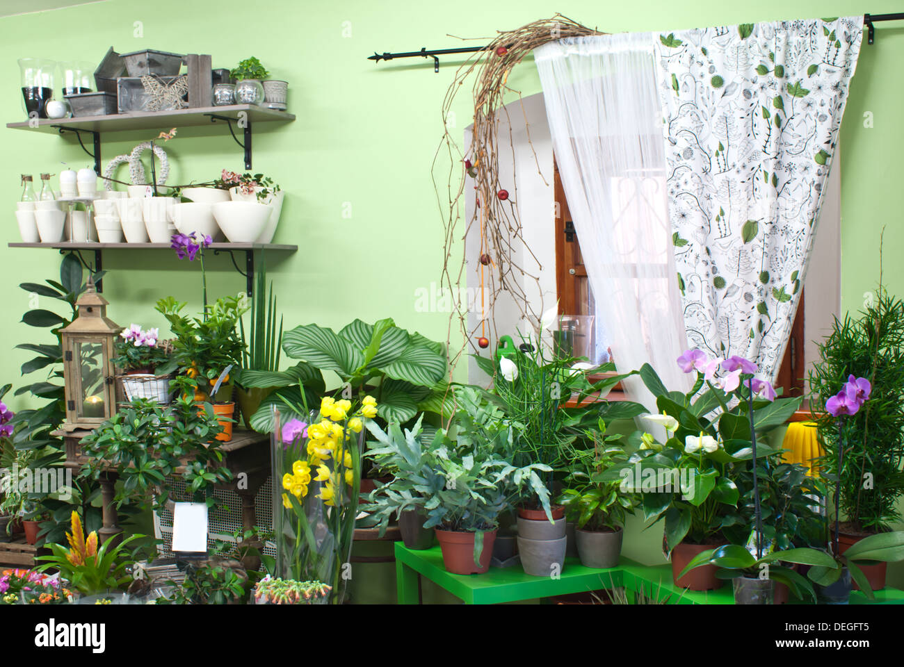 in the florist shop Stock Photo - Alamy