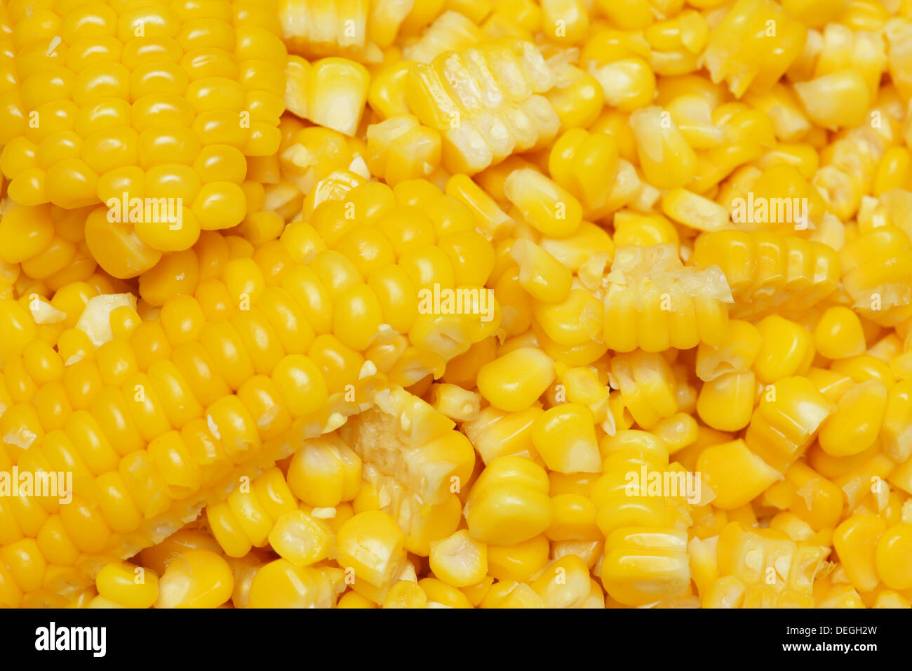 Sweet corn seed hi-res stock photography and images - Alamy