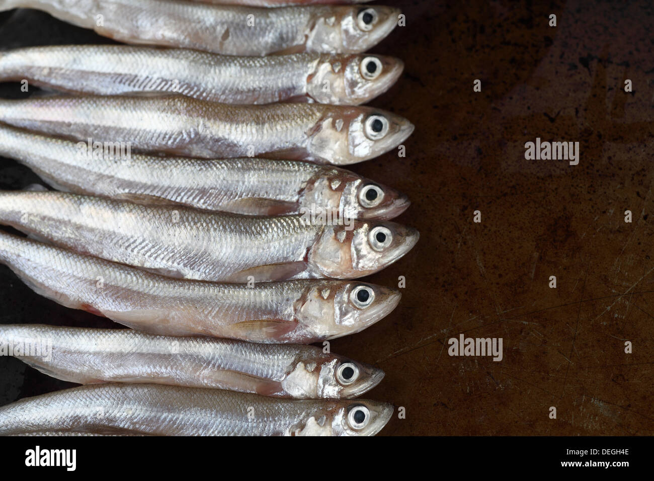 Smelt fish hi-res stock photography and images - Alamy