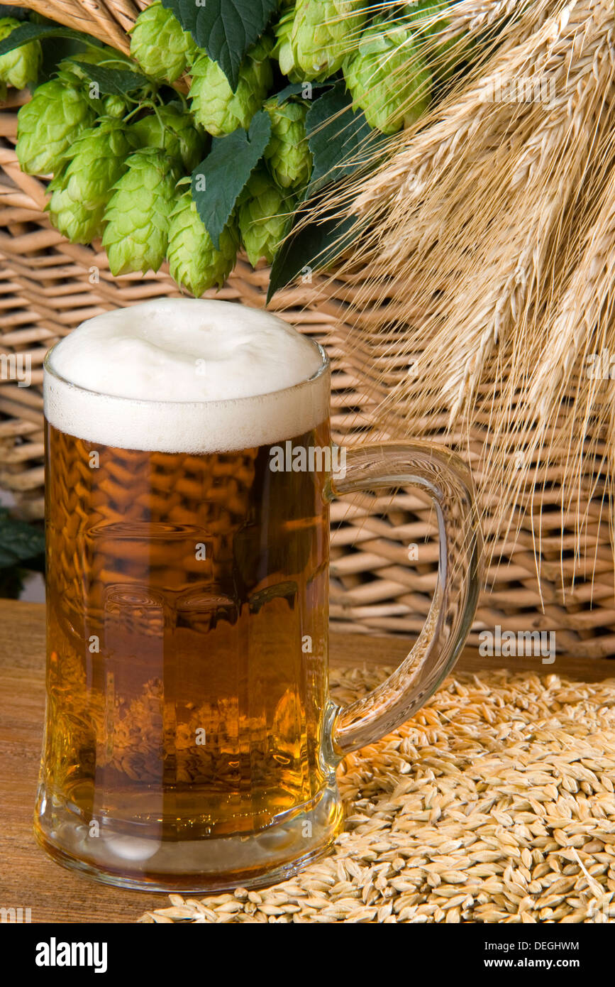 Suds alcohol beer glass ale hop hops beverage hi-res stock photography ...