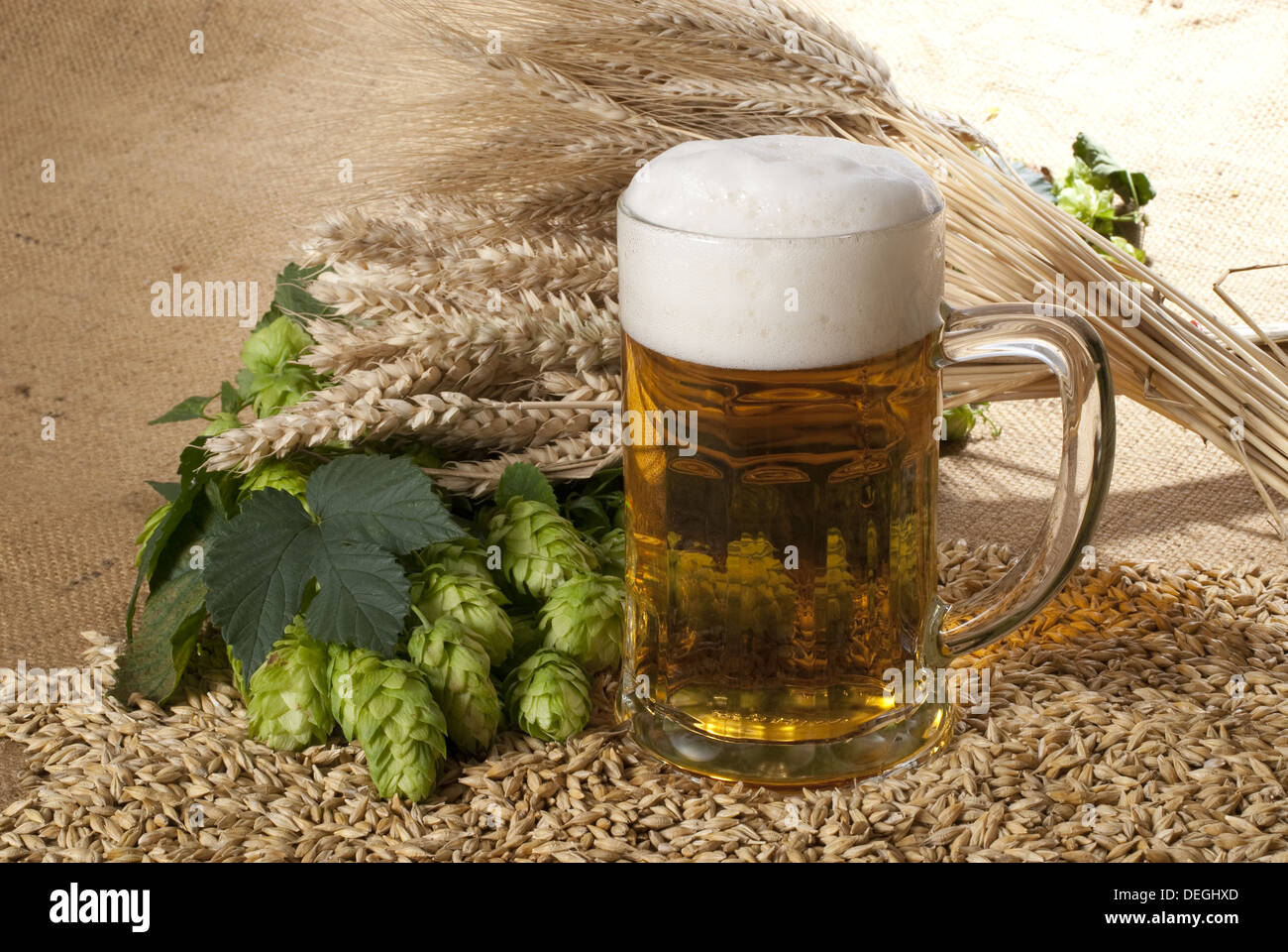 Still life with barley hops and beer Stock Photo - Alamy