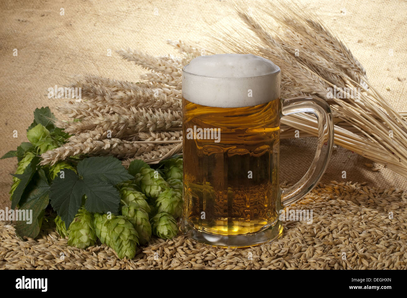 Still life with barley hops and beer Stock Photo - Alamy