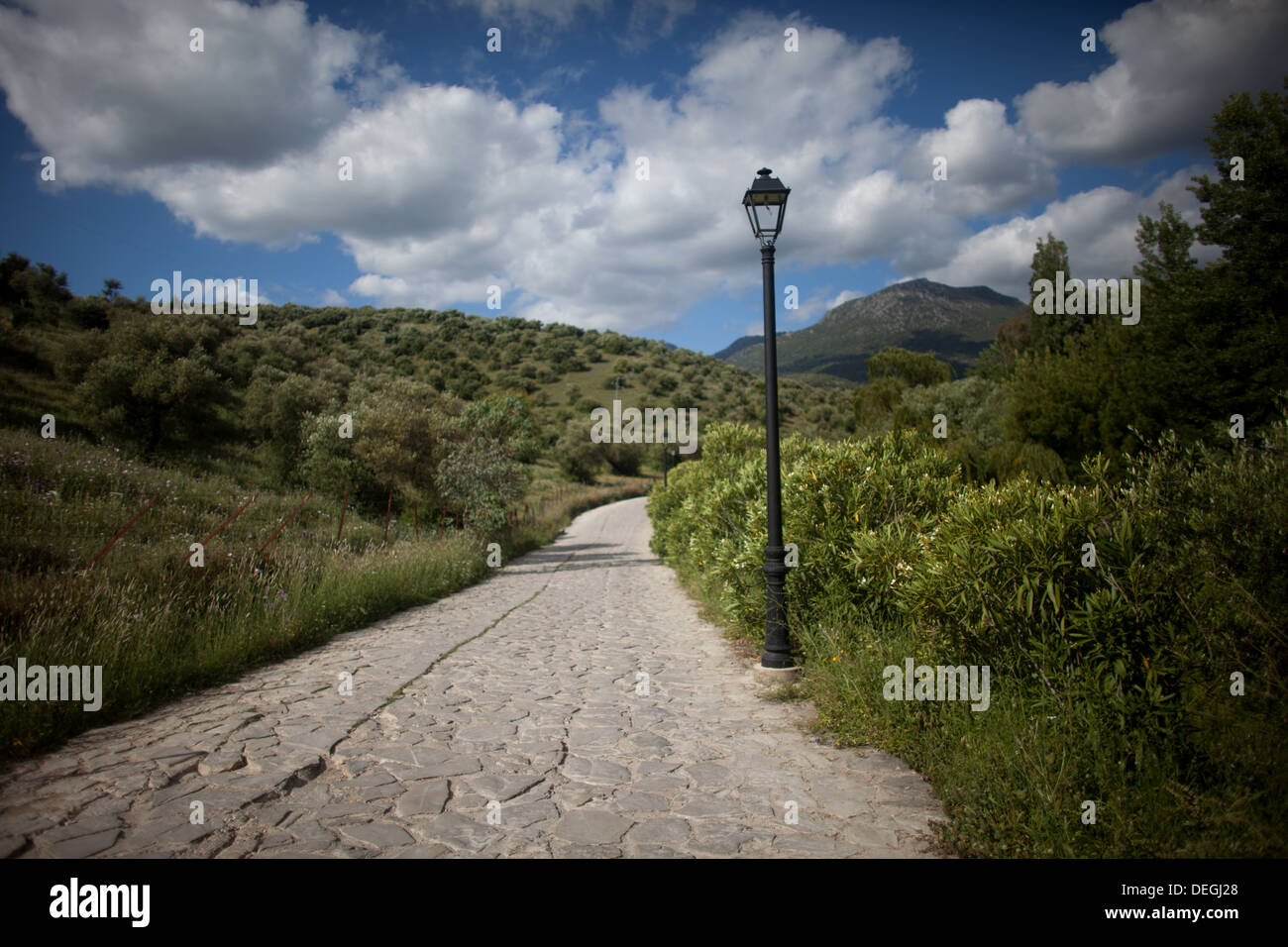 Andalusia El Bosque Spain High Resolution Stock Photography and Images ...