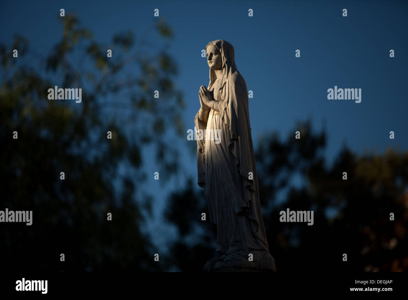 Evening sunlight illuminates a white sculpture of the Virgin Mary in ...