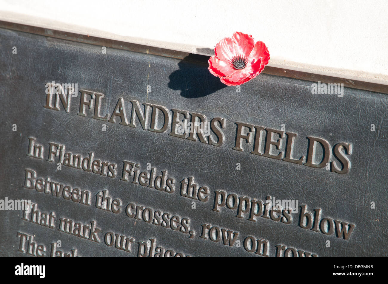 Flanders Fields Poem