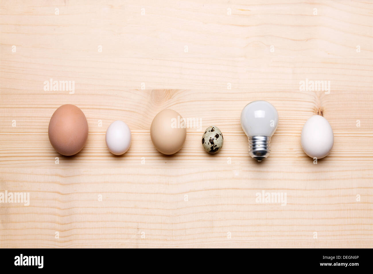 Eggs light bulb hi-res stock photography and images - Alamy