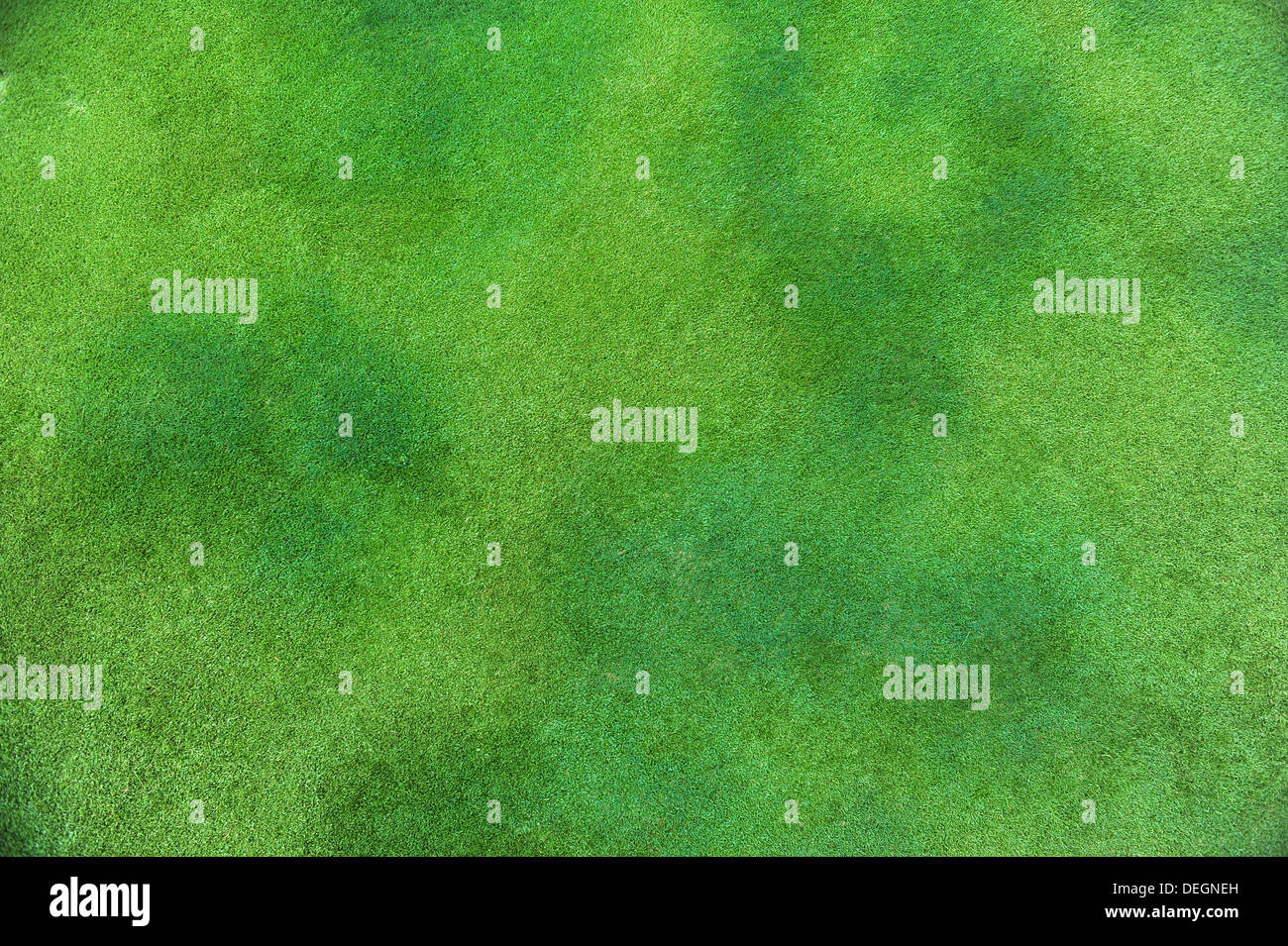 Green grass seamless texture hi-res stock photography and images - Alamy