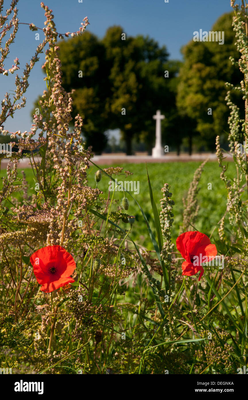 Poppies in Somme battlefield with British WWI war cemetery in ...