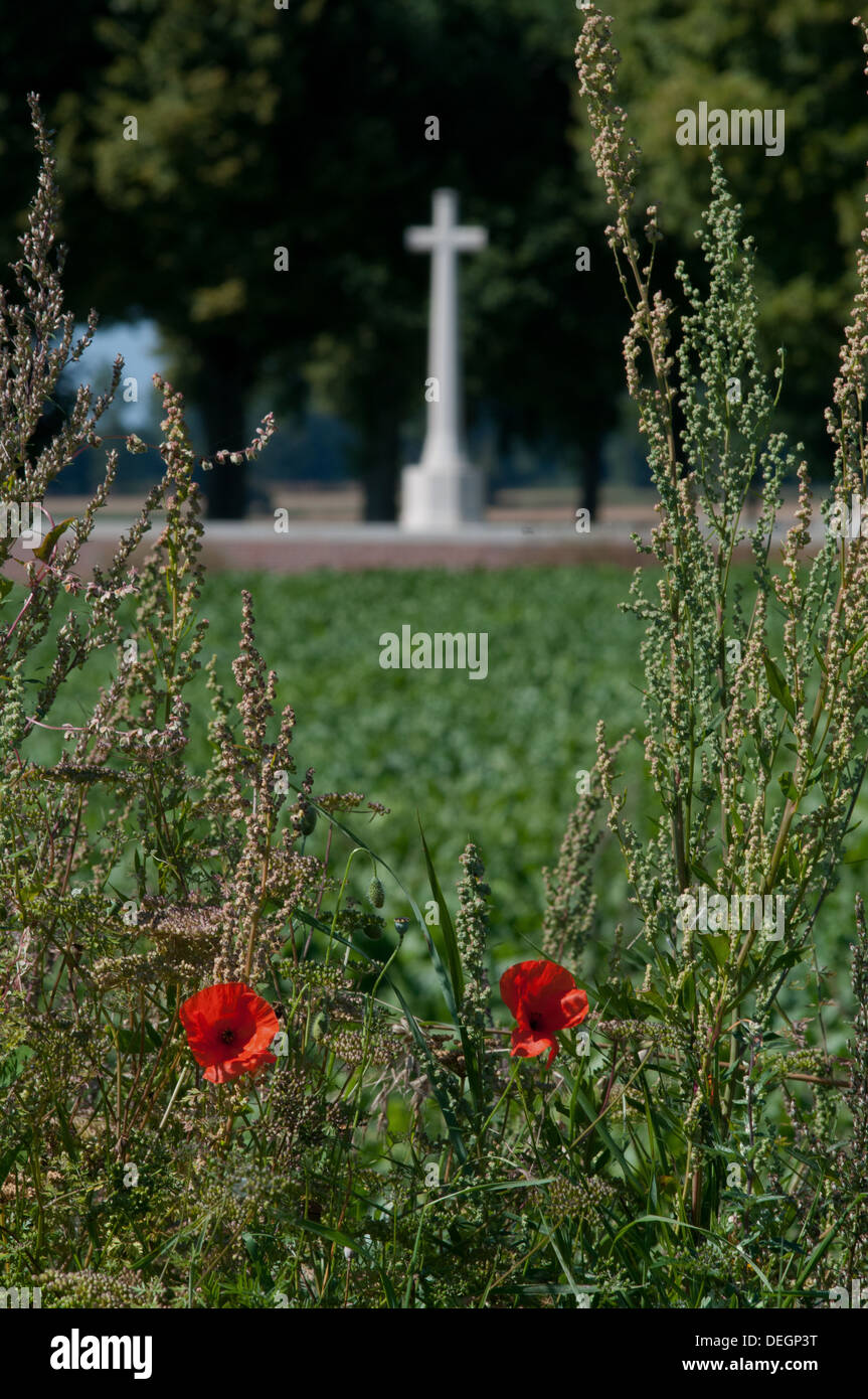 Poppies in Somme battlefield with British WWI war cemetery in ...