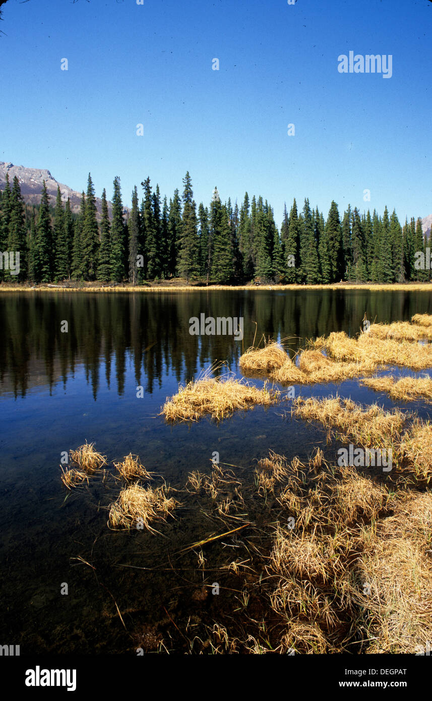 nature, alaska, landscape, wilderness, alaskan Stock Photo - Alamy