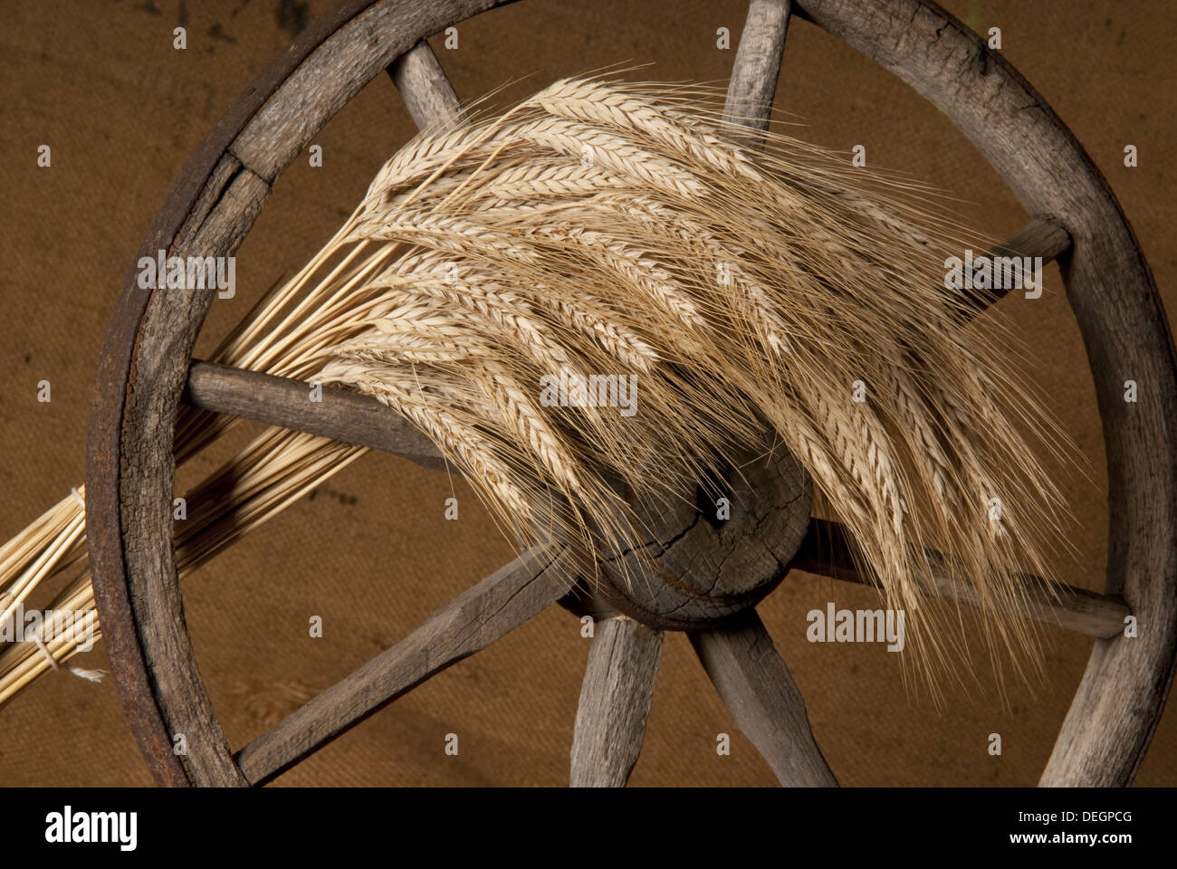 Barley farming vintage hi-res stock photography and images - Alamy