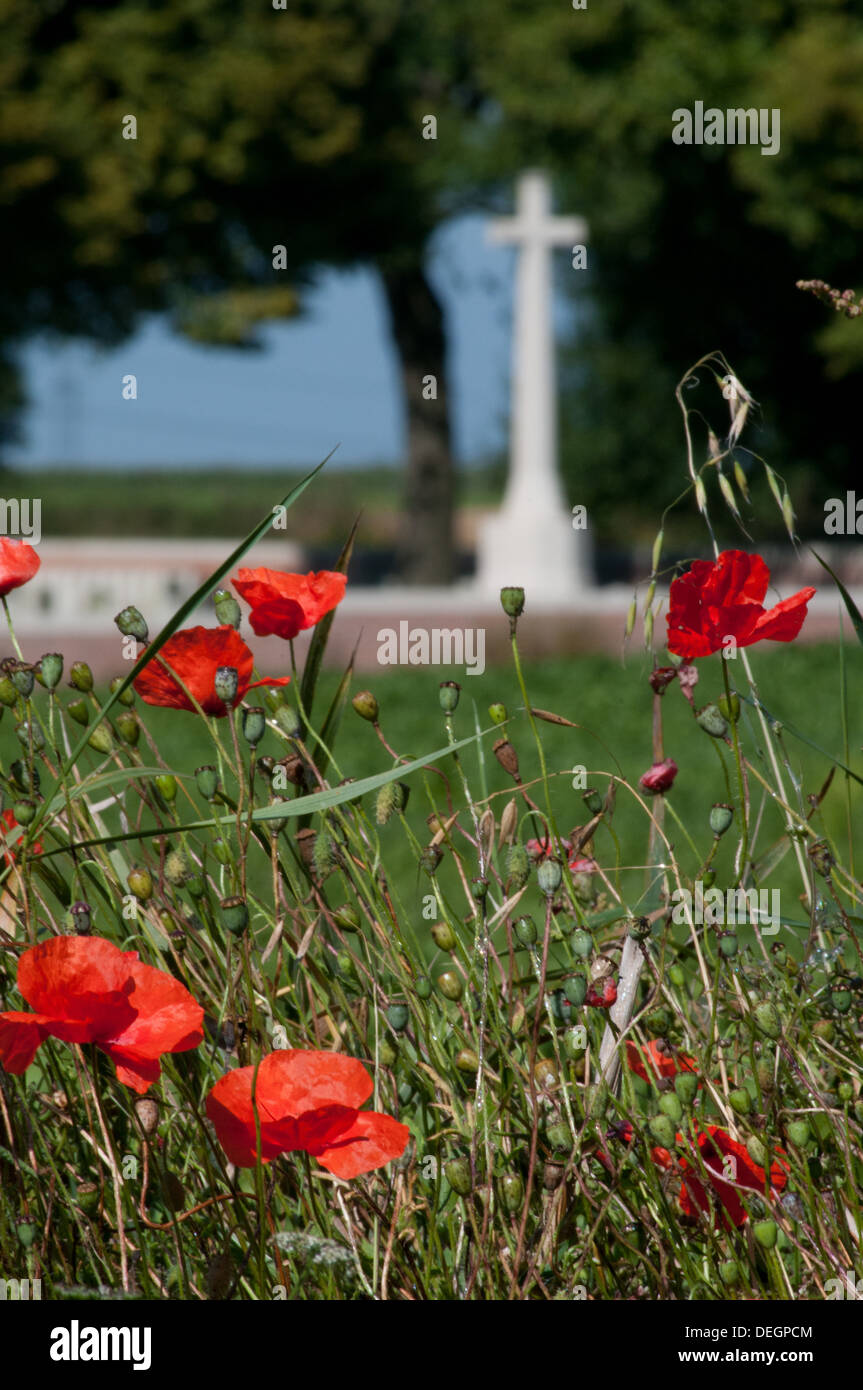 Poppies in Somme battlefield with British WWI war cemetery in ...